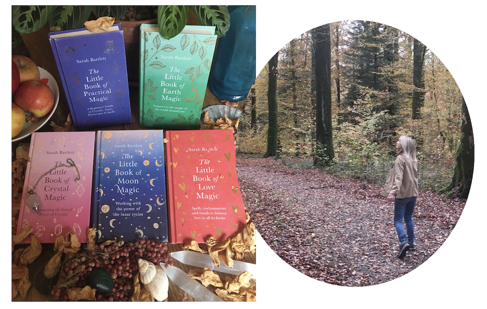 Sarah Bartlett Books